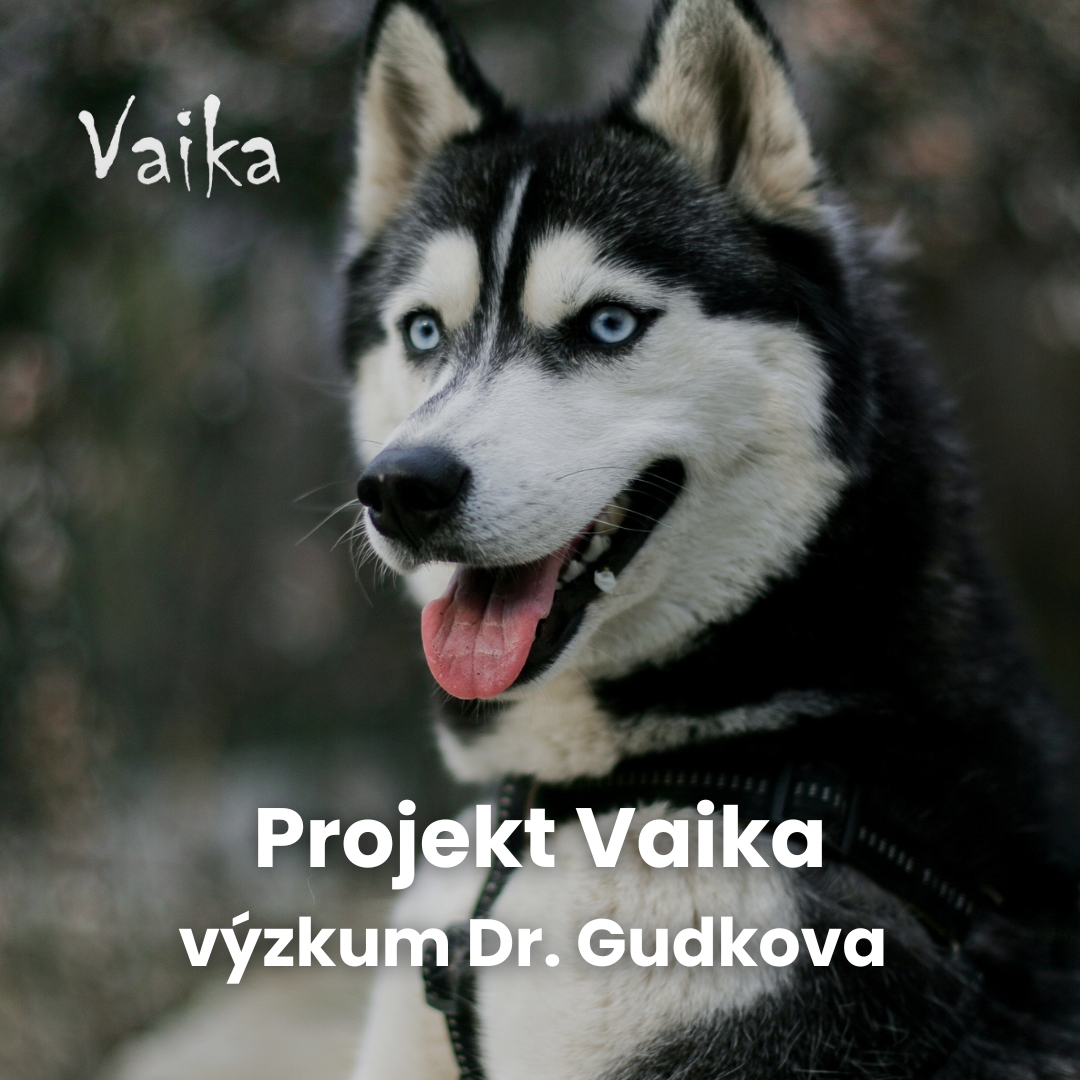 Projekt Vaika - Minus Age